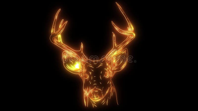 Cat Animal Video Clip Drawing Cartoon Doodle Kawaii Anime Coloring Page ...