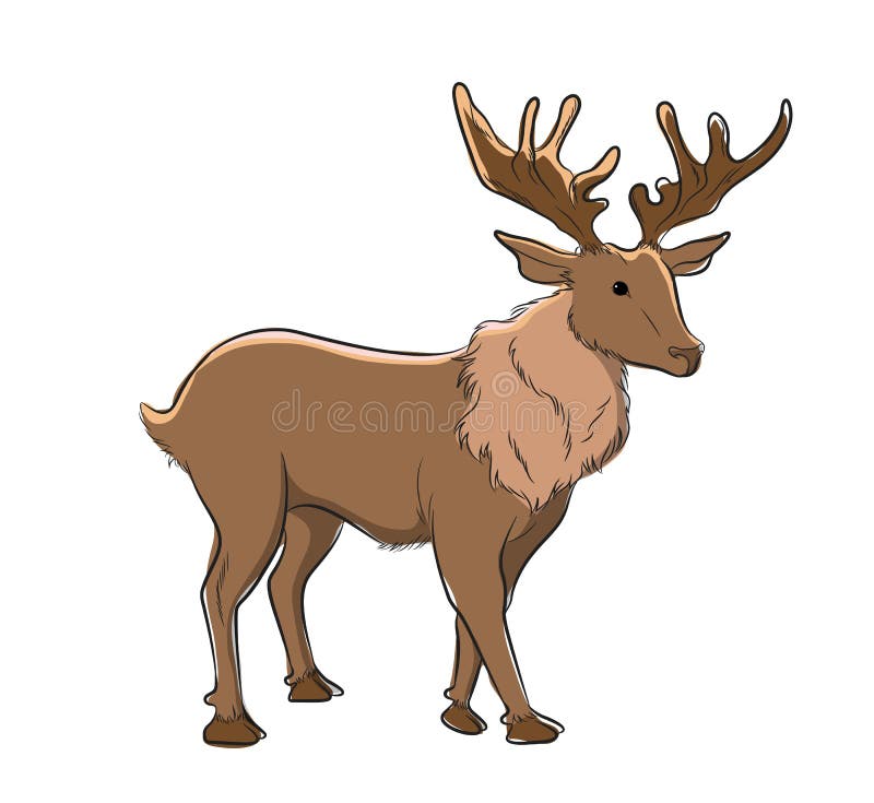 Stag Vector Stock Illustrations 10171 Stag Vector Stock Illustrations Vectors And Clipart