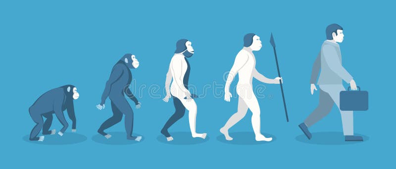 Stage of Human Evolution from Monkey To Businessman. Vector Stock ...