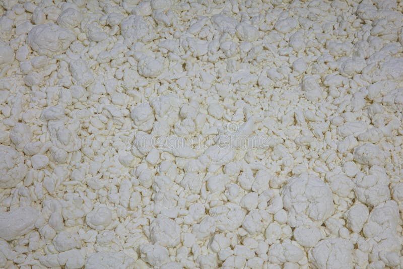 Stage in Production of Cheese. Forming Pressing of Cheese Mass. Cheese ...