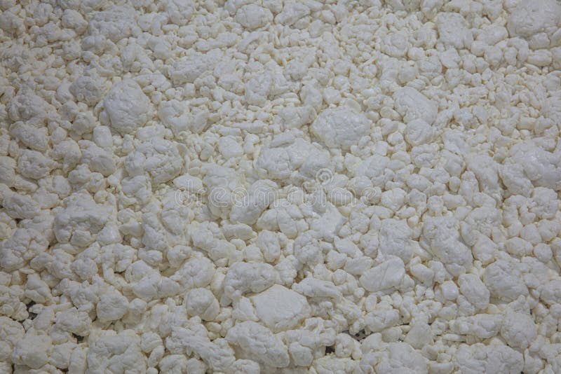 Stage in Production of Cheese. Forming Pressing of Cheese Mass. Cheese ...