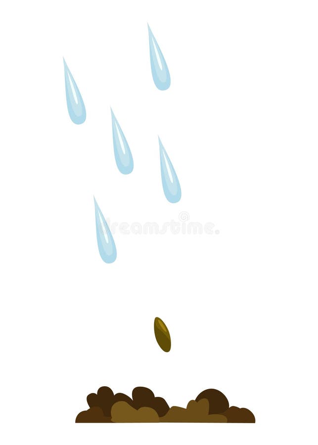 Stage of Tree Growth. Watering the Seeds from Cloud Rain Stock Vector ...