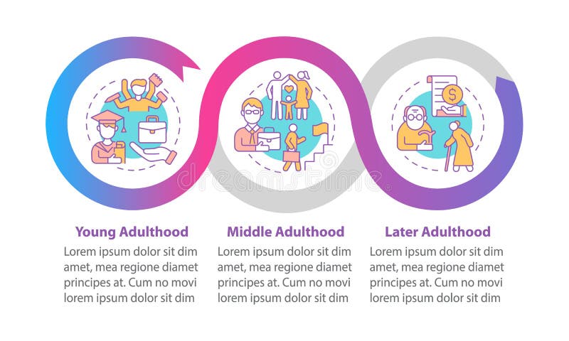 Stages of Adulthood Vector Infographic Template Stock Vector ...