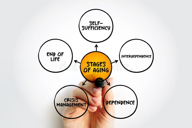 Stages of Aging (process of Becoming Older), Mind Map Concept for ...
