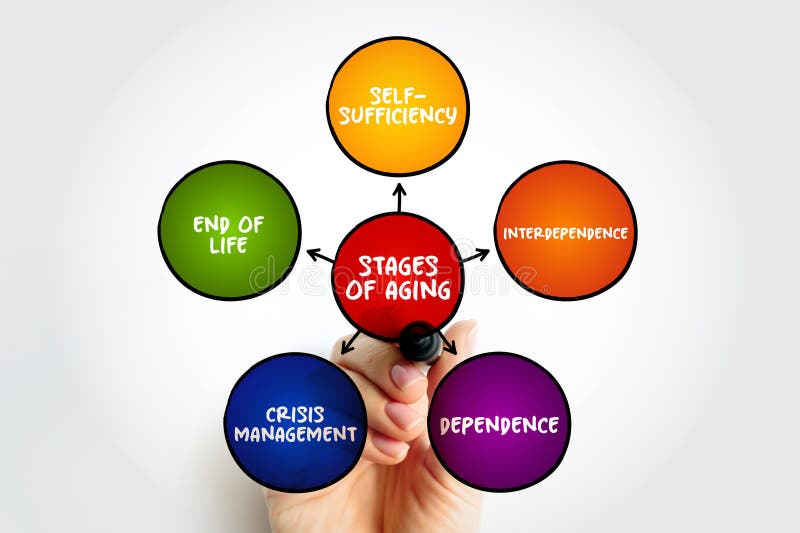 Stages of Aging (process of Becoming Older), Mind Map Concept for ...