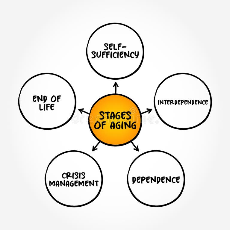 Stages of Aging (process of Becoming Older), Mind Map Concept for ...