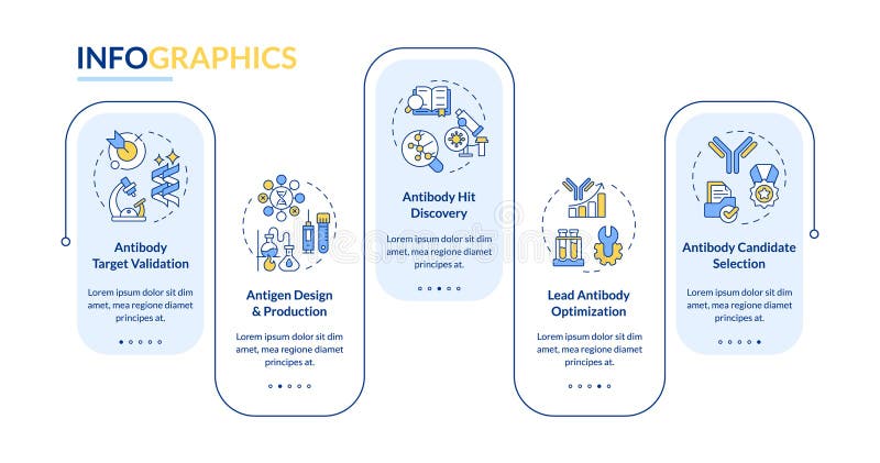Stages in Antibody Discovery Rectangle Infographic Vector Stock Vector ...
