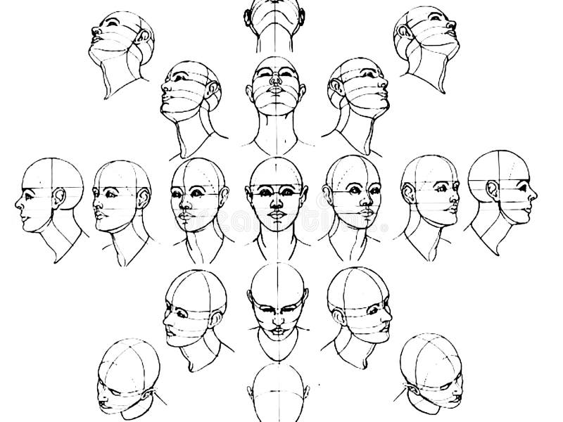 Stages of Drawing Human Head. Illustration of Drawing a Head Stock ...