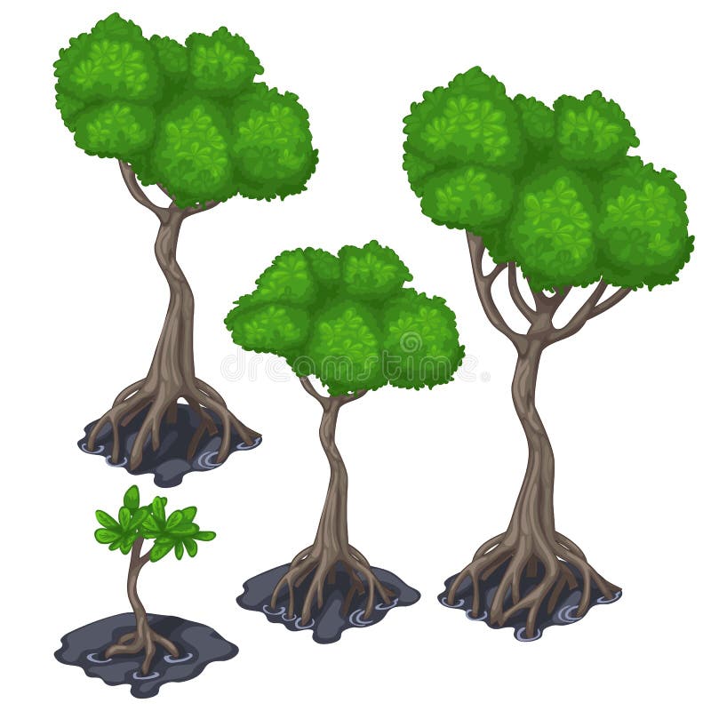 Stages Growing Tree Stock Illustrations – 1,405 Stages Growing Tree ...
