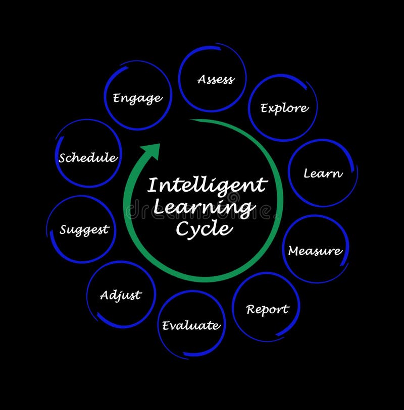 Stages of Intelligent Learning Cycle Stock Image - Image of learning ...