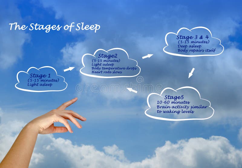 Stages of Normal Sleep stock image. Image of woman, normal - 245105909