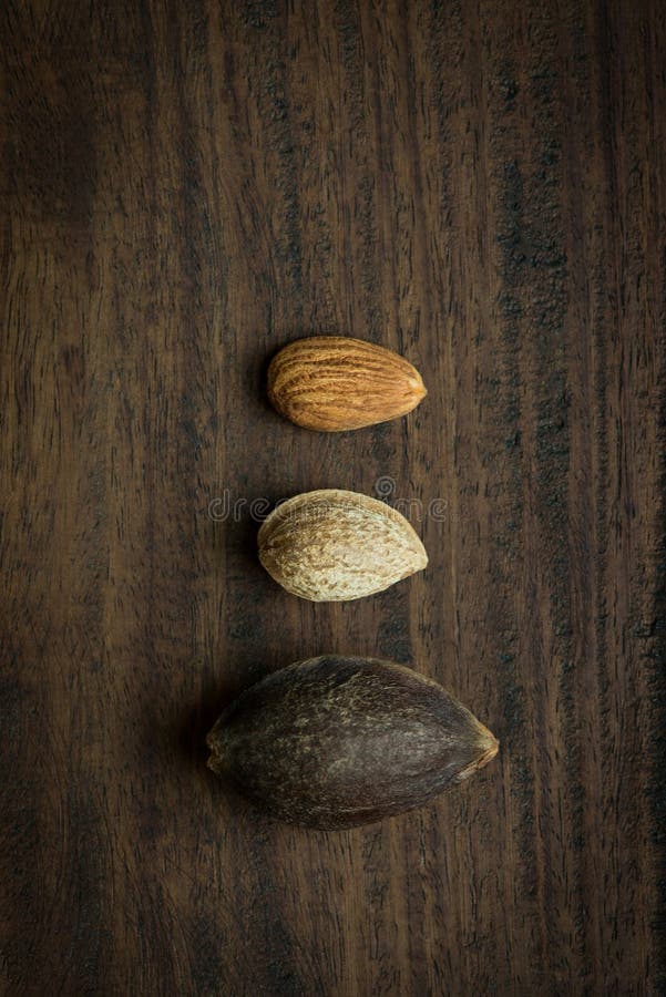 Stages of Nutritious Almond Seed Process. Stock Image - Image of core ...