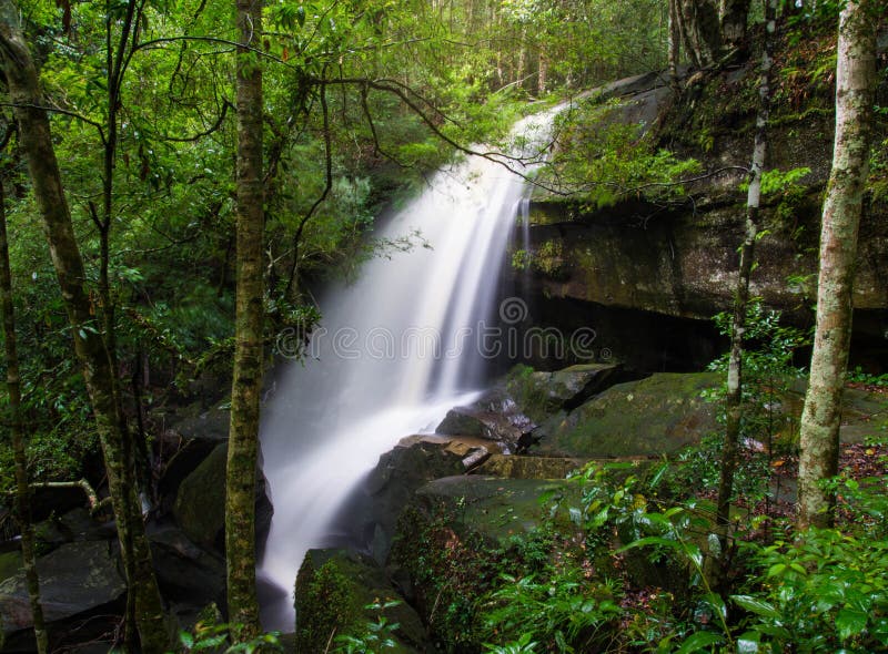 Cascata Nella Maharashtra Della Forma Di Stagione Delle Pioggie, India ...