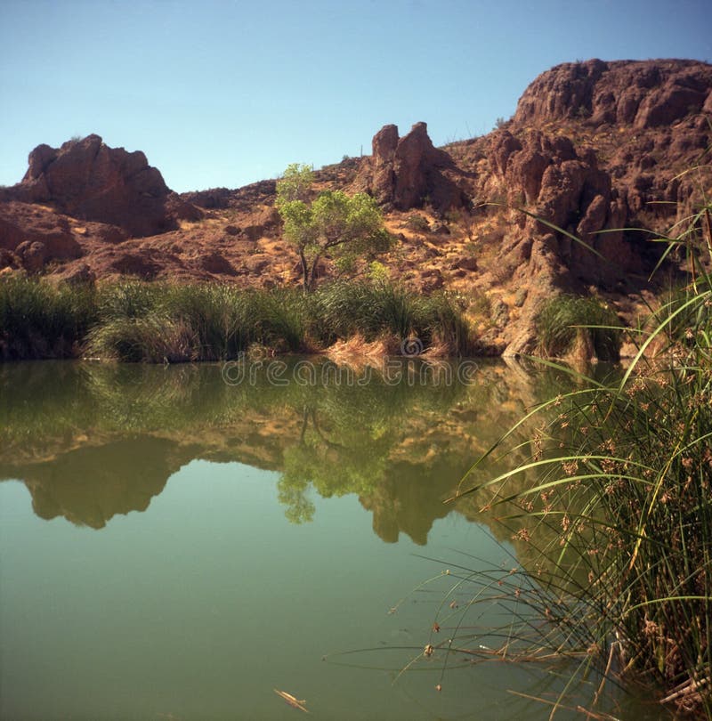 Desert Pond stock image. Image of cloud, juniper, desert - 7794147