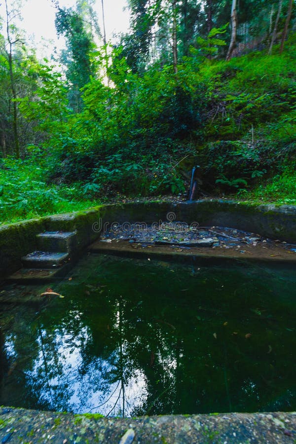 A Stagnant Pool of Water, Possibly an Old Reservoir or Cistern, Sits ...