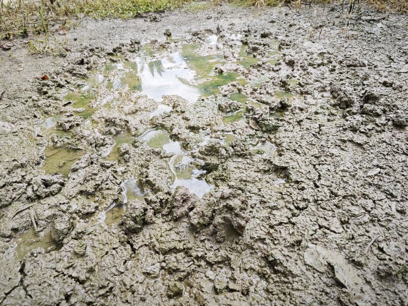 Puddle Sludge on the Ground after Rain. Stock Photo - Image of rainfall ...