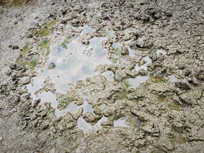 Puddle Sludge on the Ground after Rain. Stock Image - Image of ...
