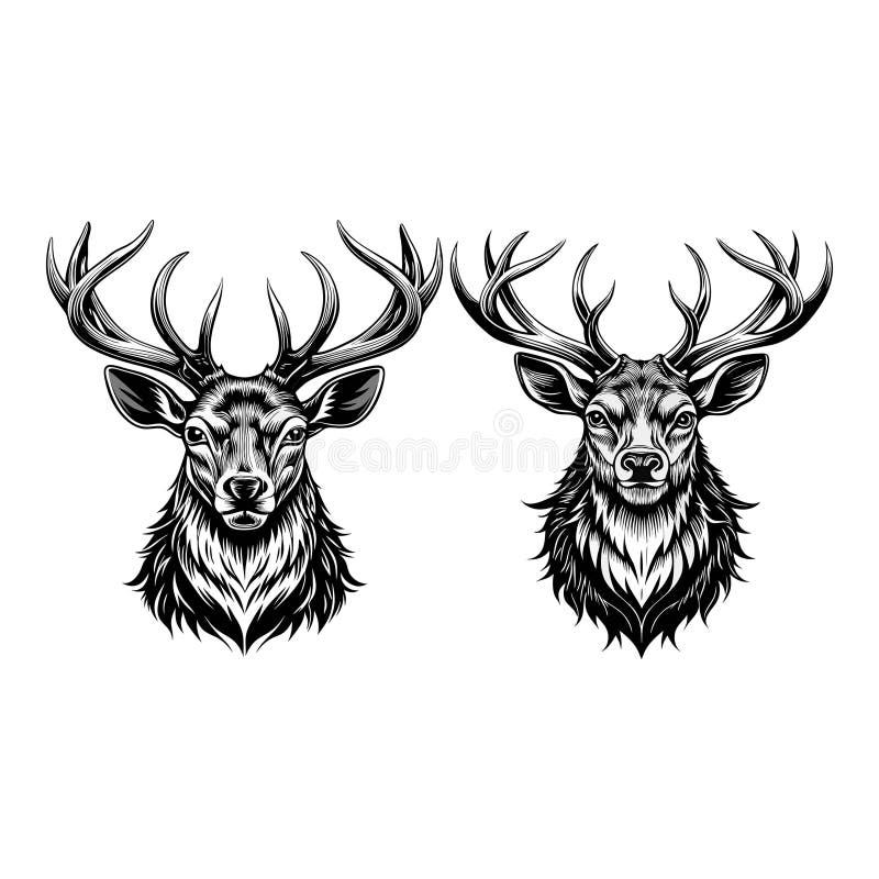 Buck Head Vector Stock Illustrations – 5,675 Buck Head Vector Stock ...