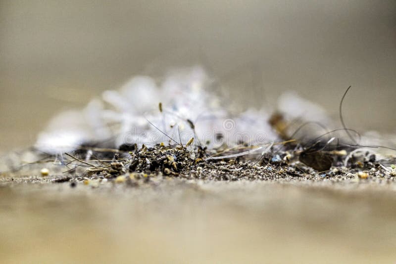 Stain dust dirty stock image. Image of hygiene, surface - 154930917