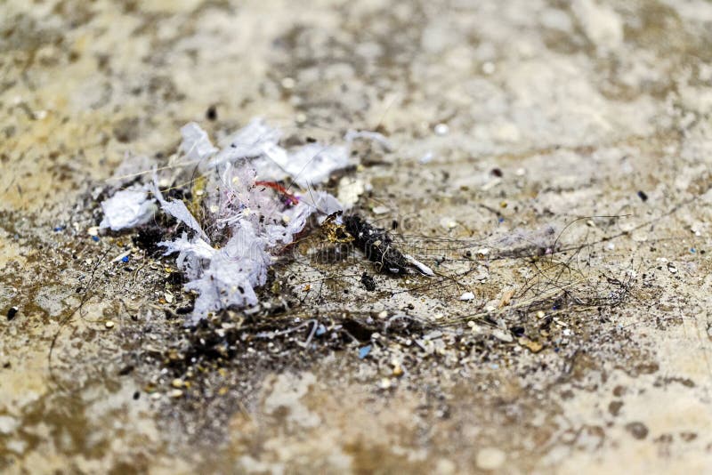 Stain dust dirty stock photo. Image of clean, dirty - 154930924