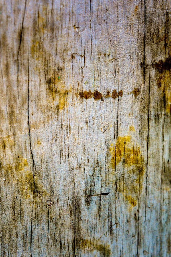 Stained aged wood texture stock image. Image of light - 70943459