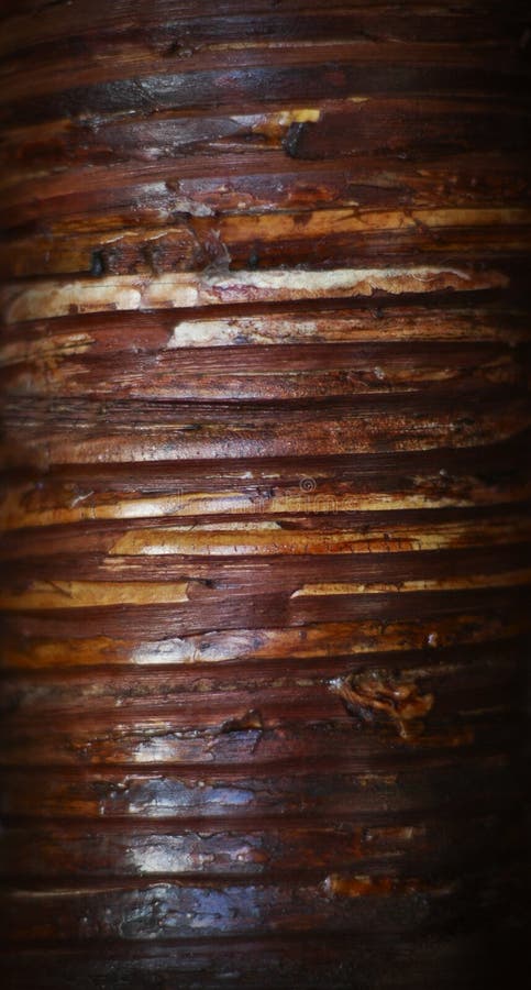 Stained bamboo texture stock photo. Image of organic - 16787264