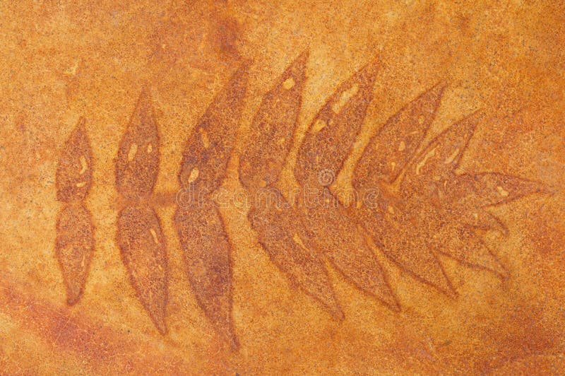 Stained Concrete Leaf Pattern Stock Image - Image of iron, background ...