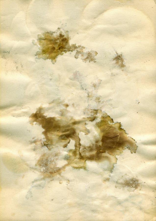 Stained paper stock photo. Image of paper, aging, dried - 12103996