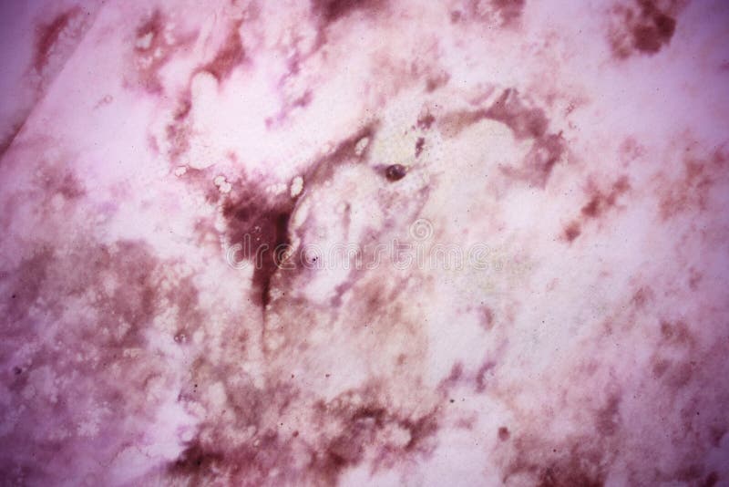 Stained paper stock photo. Image of stain, spotted, stains - 26181724