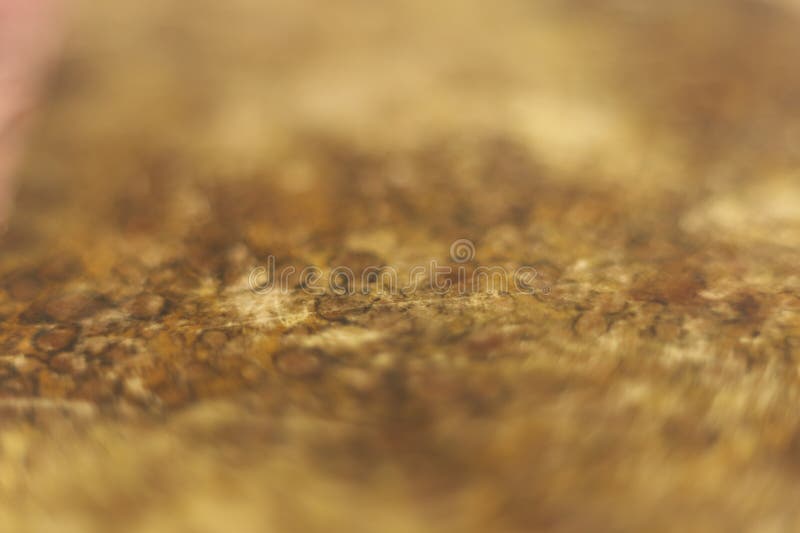 A Stained Paper Texture. Abstract Background for Design Stock Image ...