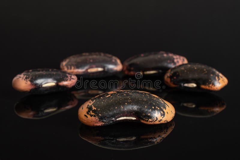 Stained Purple Bean Isolated on Black Glass Stock Image - Image of dark ...