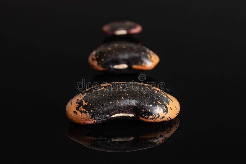 Stained Purple Bean Isolated on Black Glass Stock Photo - Image of ...