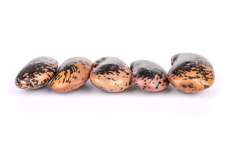 Stained Purple Bean Isolated on White Stock Photo - Image of little ...