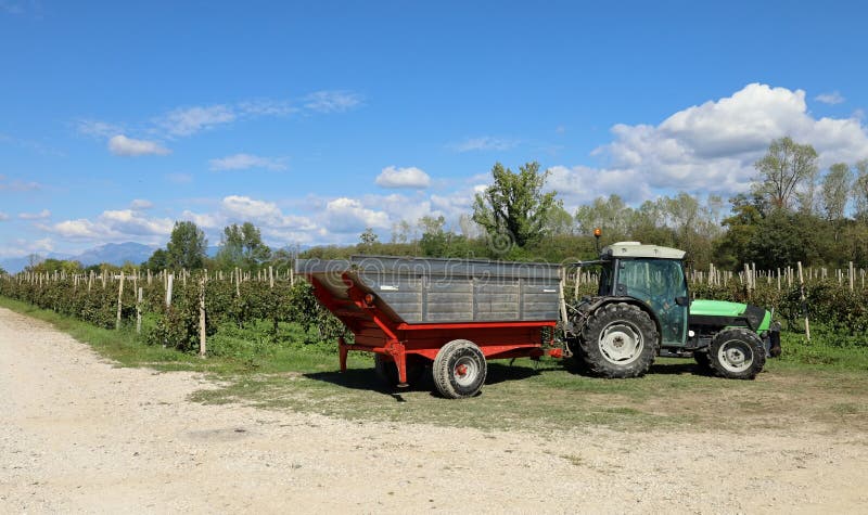 Stainless Steel Grape Harvest Trailer Trailed by Tractor in Front of a ...