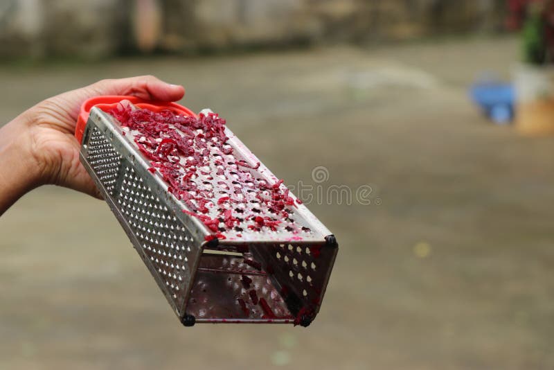 Stainless Steel Grater with Pieces of Red Beetroot Held in Hand. Grater ...