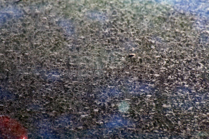 Stains, Dirt on the Glass Car Pollution, Surface Dirt, Dust Soil ...