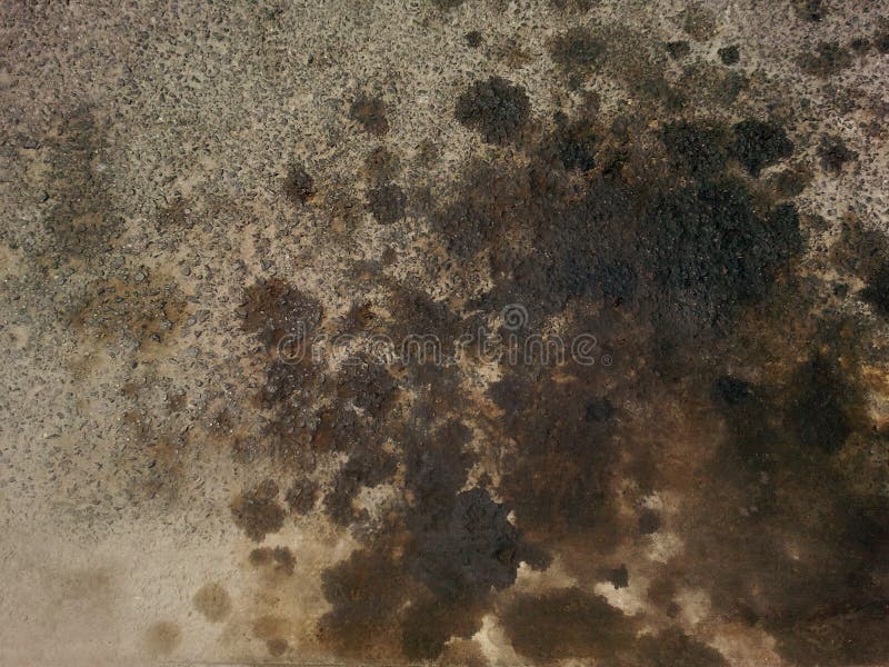 Stains stock photo. Image of road, stains, driveway, chemical - 82820012