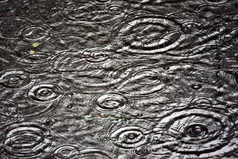 Stains from Rain on the Water Surface Stock Photo - Image of rainy ...