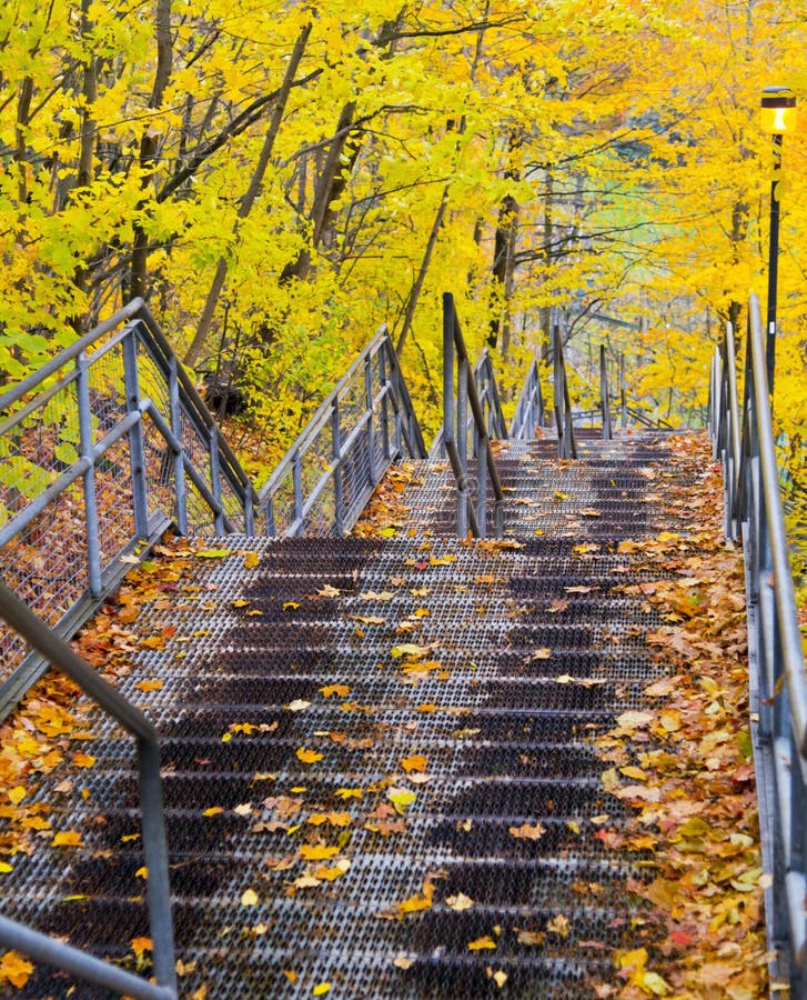 Stair Fall stock photo. Image of view, ontario, orange - 77716382