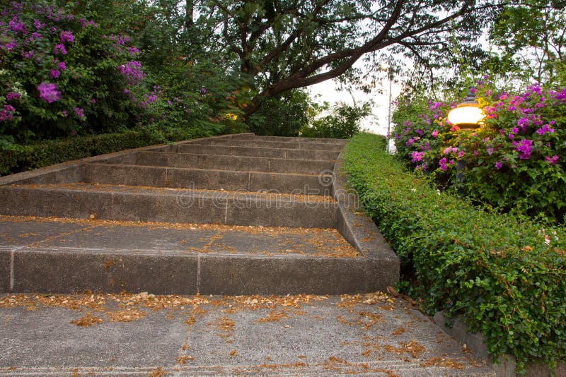 Stair in Park Landscaped stock photo. Image of outdoors - 39543600