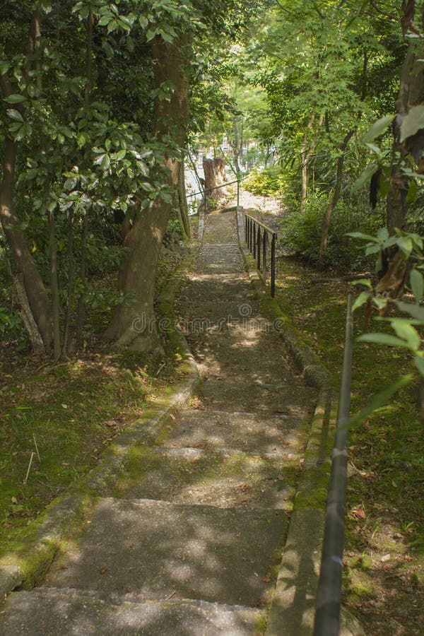 Stair Pathway Surrounded by Green Stock Image - Image of scenic, park ...