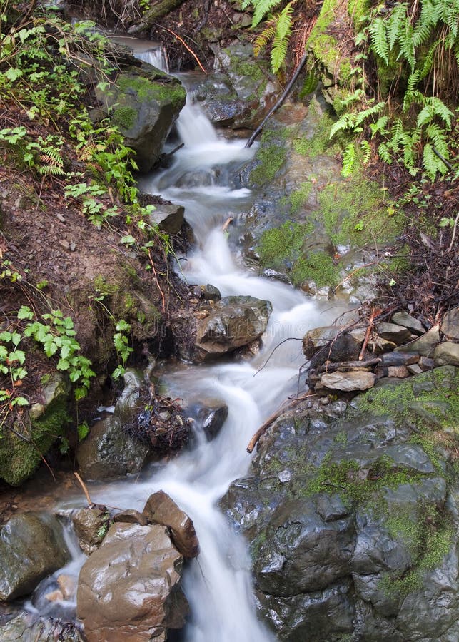 Stair step fall stock photo. Image of rapid, background - 12766906