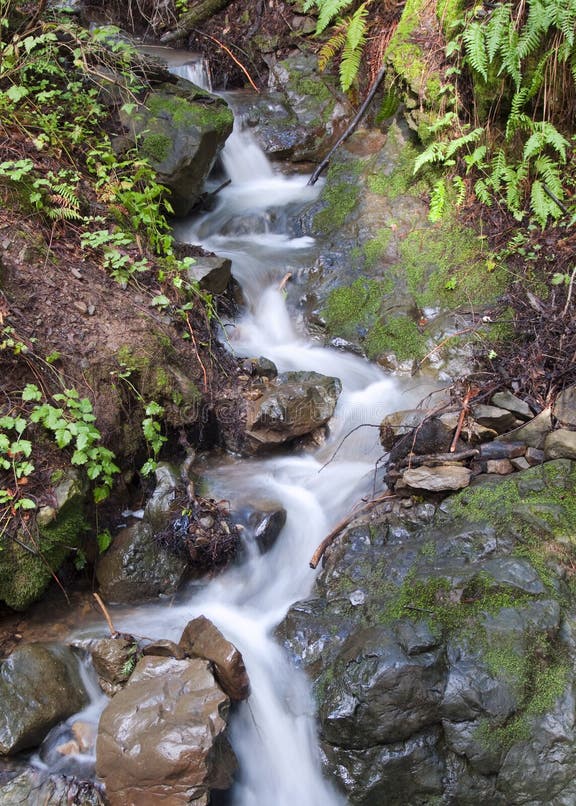 Stair step fall stock photo. Image of rapid, background - 12766906