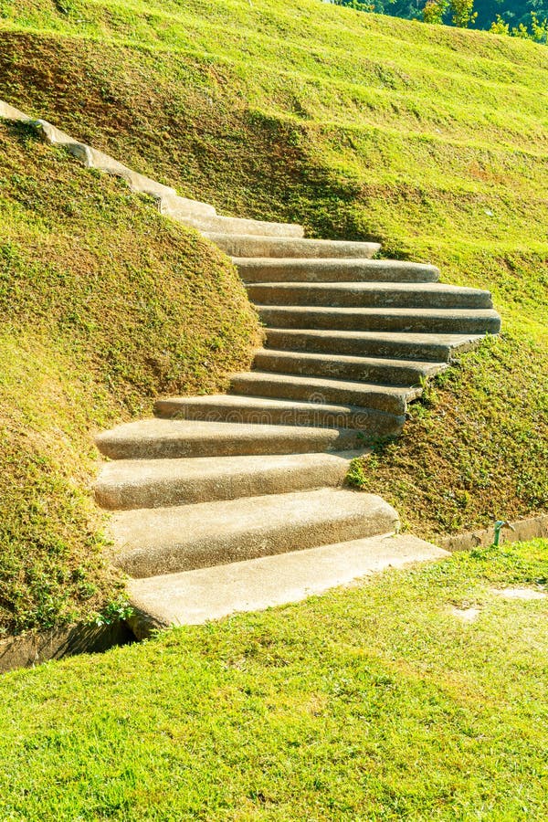Stair with grass stock image. Image of natural, lapse - 61562389
