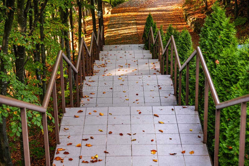 Stair Steps in the Park in the Evening. Stock Image - Image of wood ...