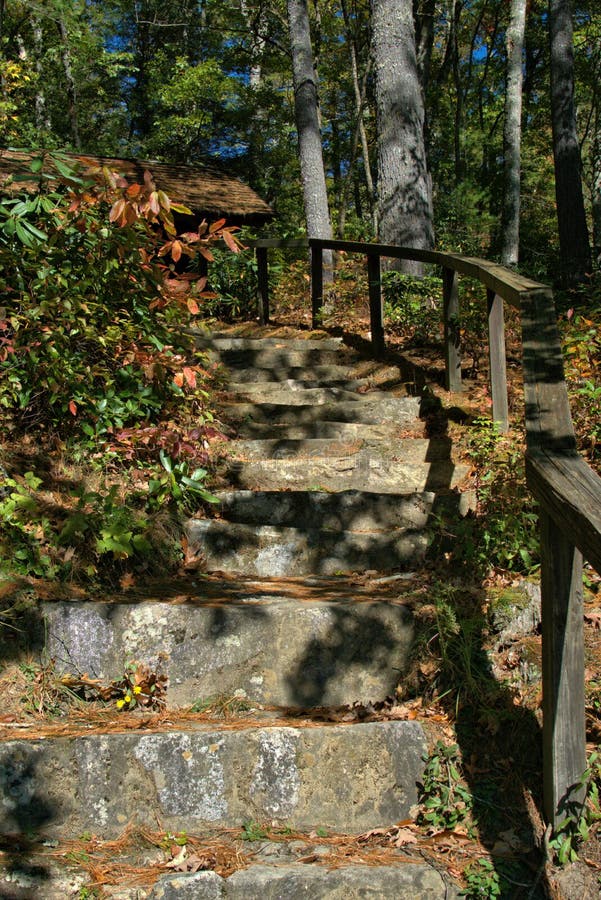 Stair Steps Surrounded by Fall Foliage Stock Image - Image of landscape ...