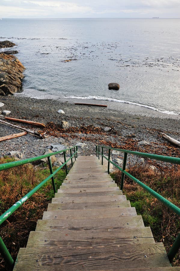 Stair to beach stock photo. Image of ladders, hike, ladder - 7394450