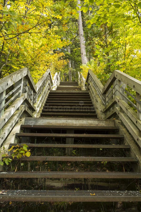 Stair Trail in Woods stock image. Image of trees, hike - 27995363