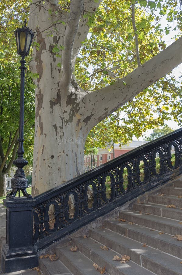 Staircase with Beautiful Railing Stock Image - Image of tree, autumn ...