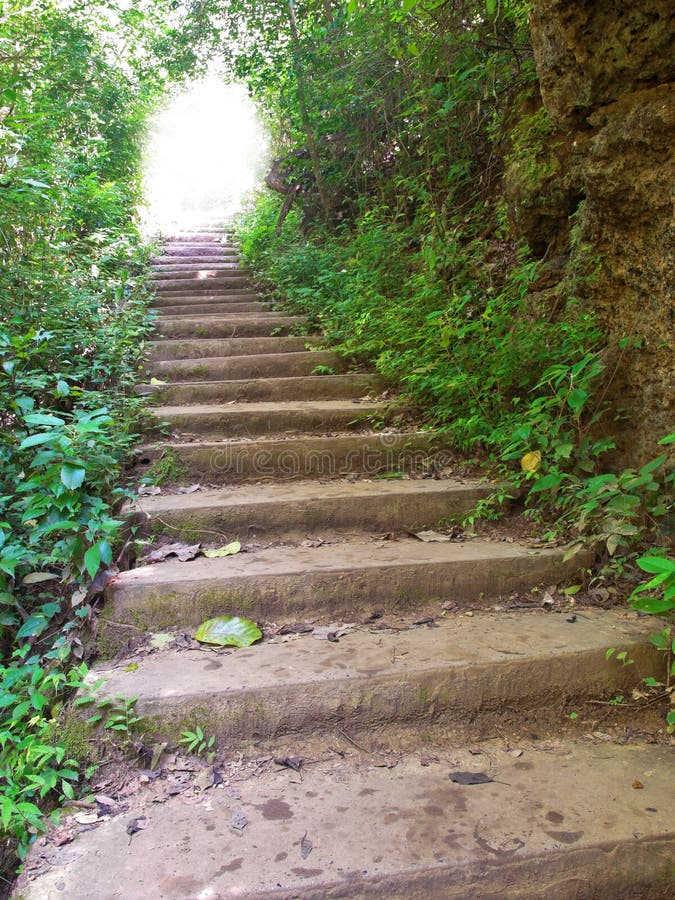 Staircase in deep forest stock photo. Image of access - 27547082